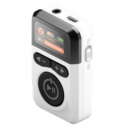 Cygnett Voyager Wireless Elite Audio Adapter - White - (CY5164VOYAA ...