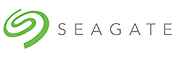 Seagate 10TB SkyHawk AI Surveillance ST10000VE001