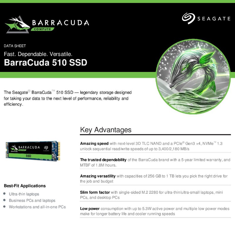 Seagate 1TB Barracuda 510 SSD ZP1000CM30001, PCIe Nvme, 3D TLC NAND ...